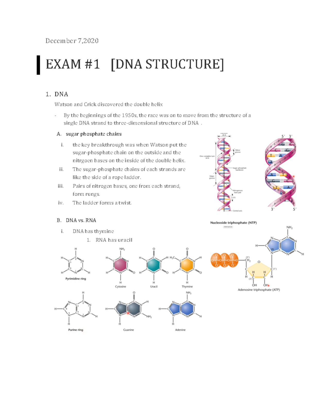 Genetica final - December 7, EXAM #1 [DNA STRUCTURE] 1. DNA Watson and ...