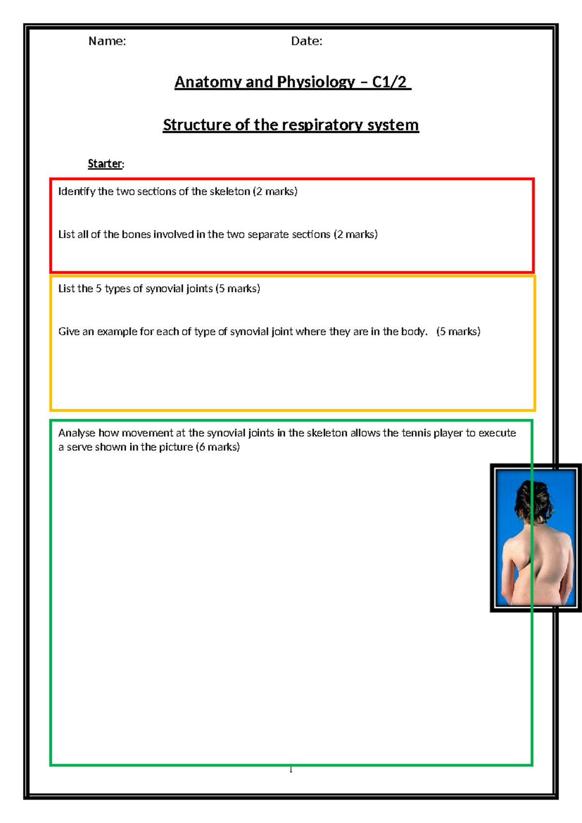 C1 Respiratory worksheet - Anatomy and Physiology – C1/ Structure of ...