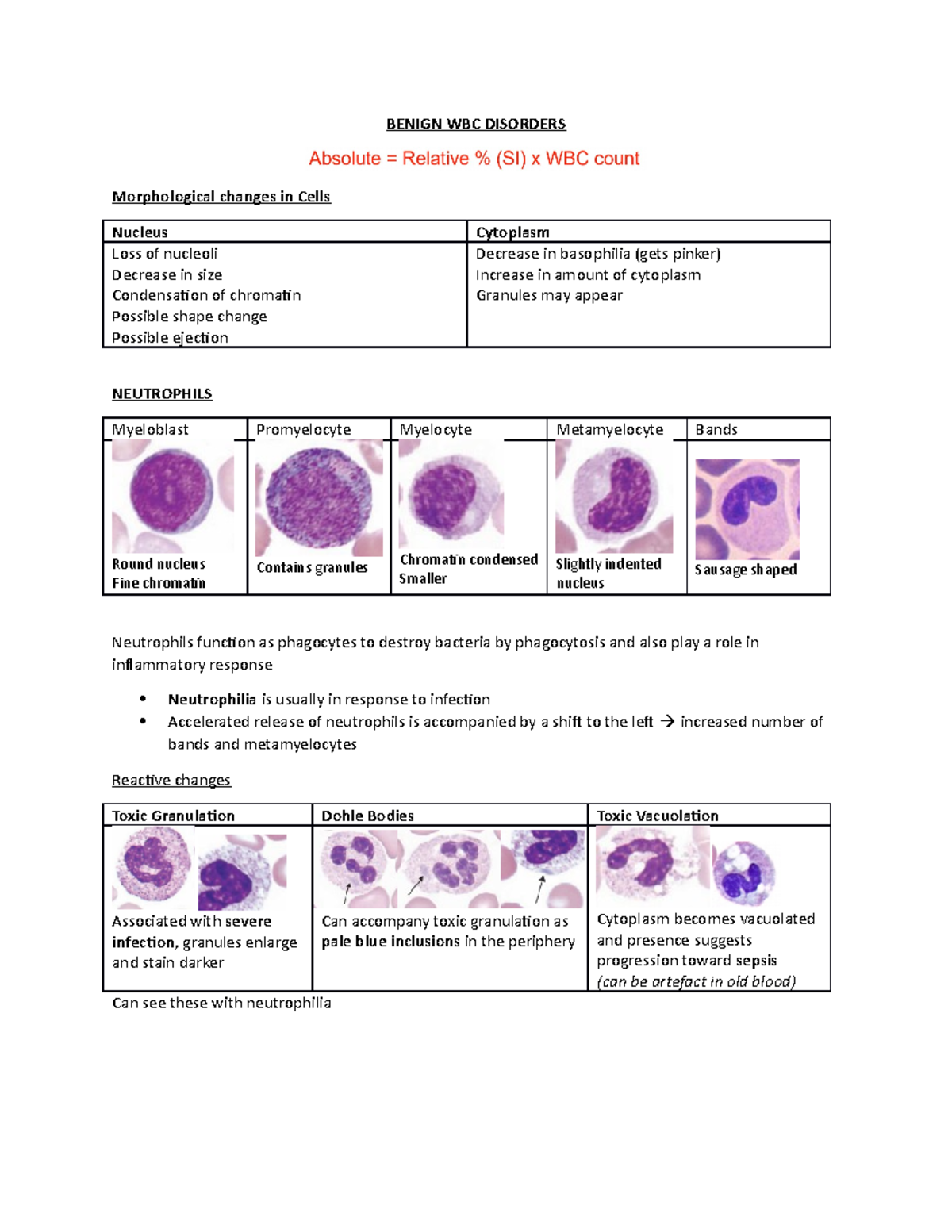 (5) Benign WBC Disorders - BENIGN WBC DISORDERS Morphological changes ...