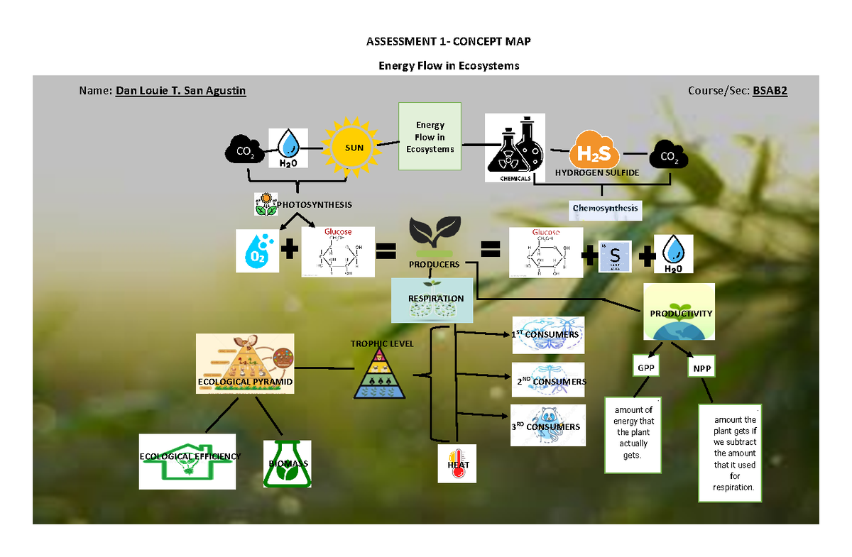 Done Assessment 1 finished - ASSESSMENT 1- CONCEPT MAP Energy Flow in ...