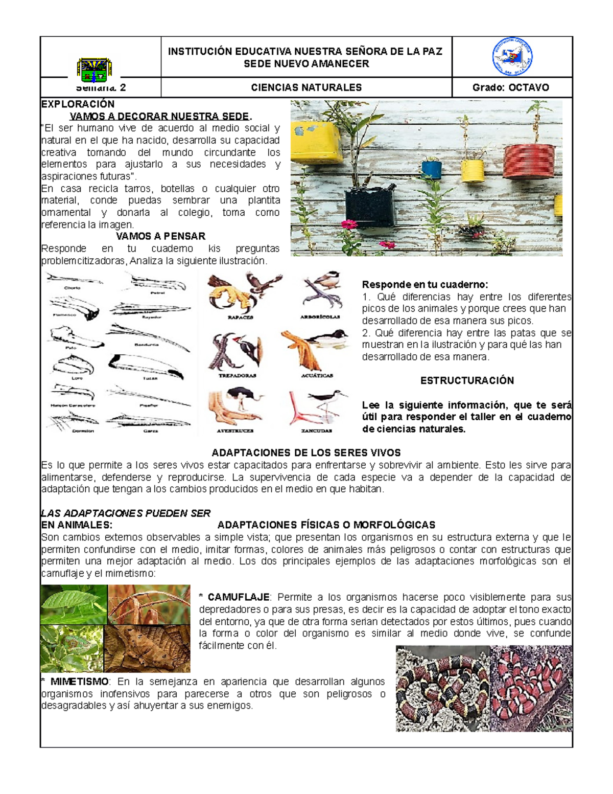 GUIA DE Aprendizaje Ciencia 1 Octavo 1 Periodo - INSTITUCIÓN EDUCATIVA ...