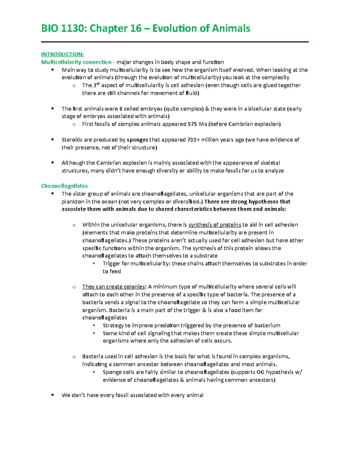 BIO 1130 - Chapter 16 - BIO 1130: Chapter 16 – Evolution of Animals ...