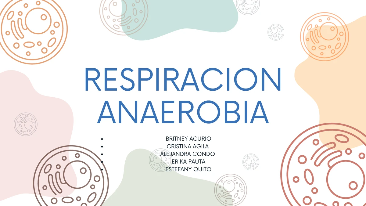 Números Cuánticos y configuración electrónica - REPRESENTACIÓN DE LOS ...
