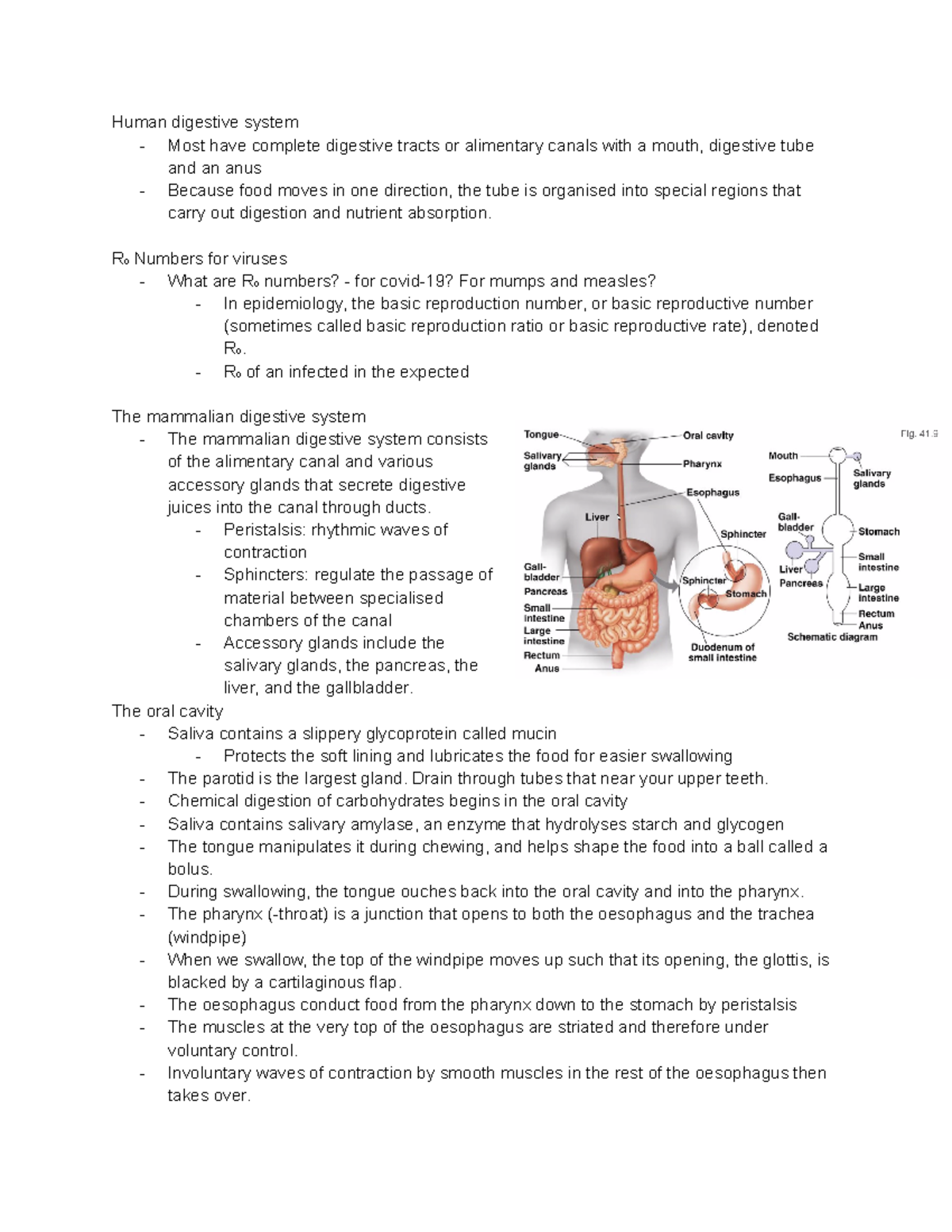 Week 2 - Digestive systems, circulatory systems and some breathing ...
