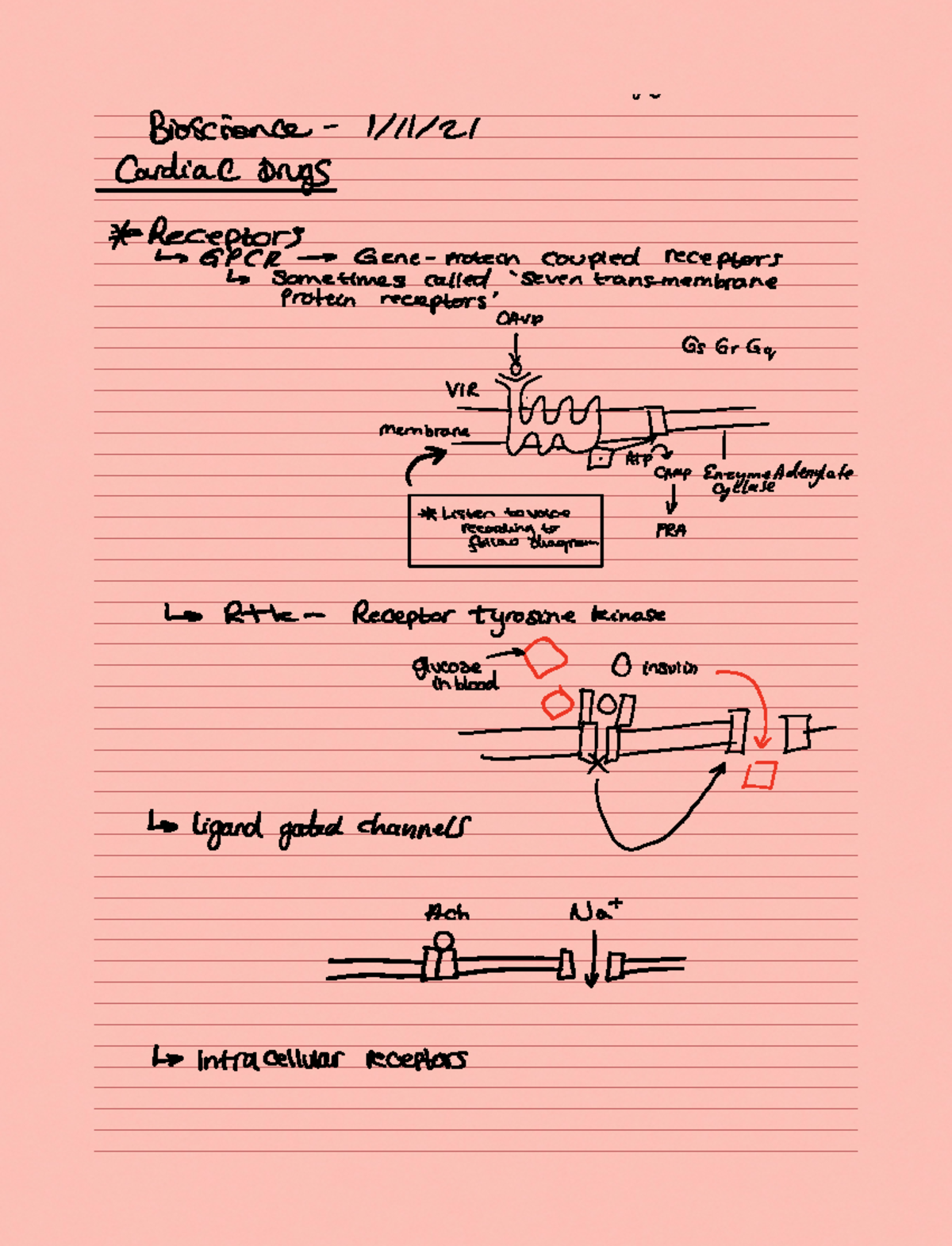 Cardiac drugs - Paramedic science class notes - Jo Bioscience 1 11 21 ...