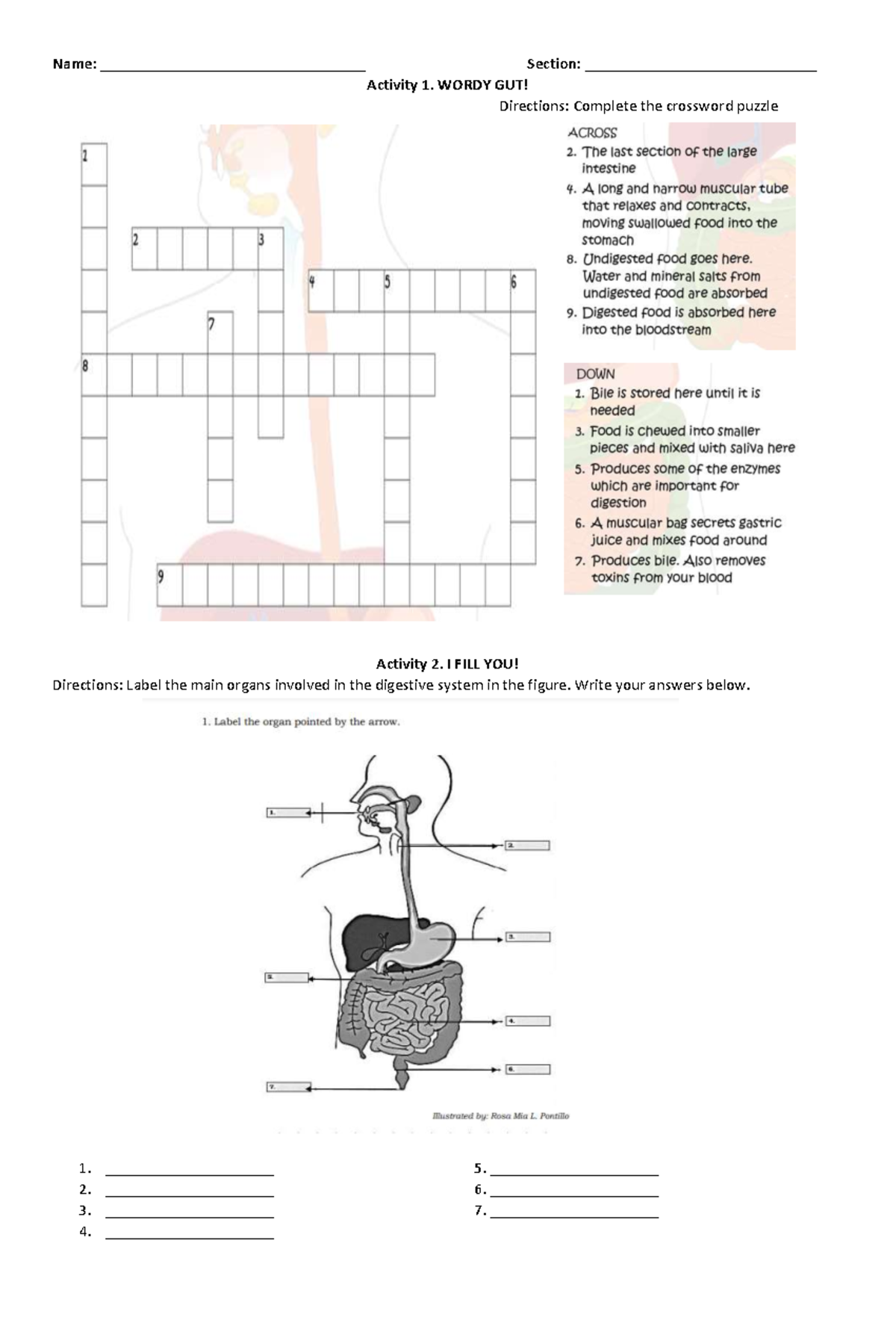 Modular-Activity-Sheet - Name: _________________________________ Section: - Studocu