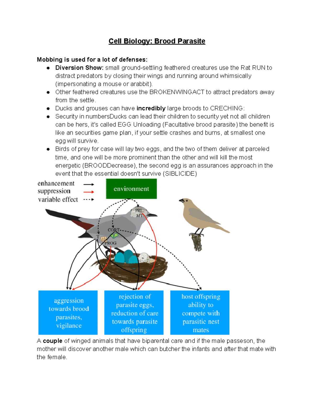 Cell Biology Brood Parasite - Cell Biology: Brood Parasite Mobbing is ...