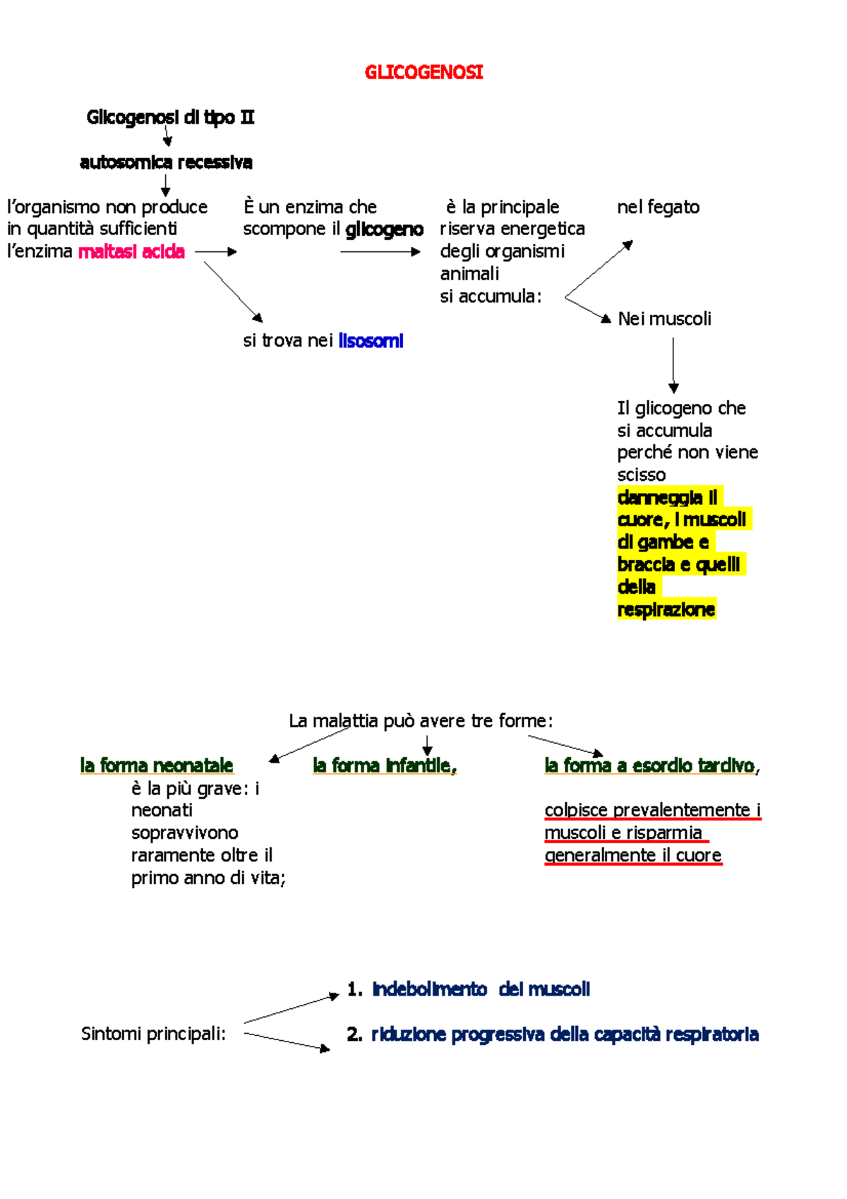 Glicogenosi (schema) - GLICOGENOSI Glicogenosi di tipo II autosomica ...