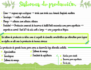 Siniiga - SINIIGA. ¿ Qué significa? Sistema nacional de identificación ...