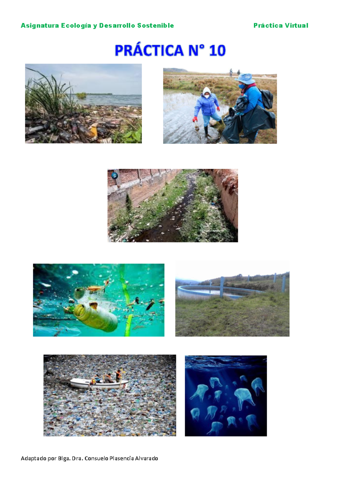 Tarea - Practica 10 Contaminación DE UN Cuerpo DE AGUA - TÍTULO ...