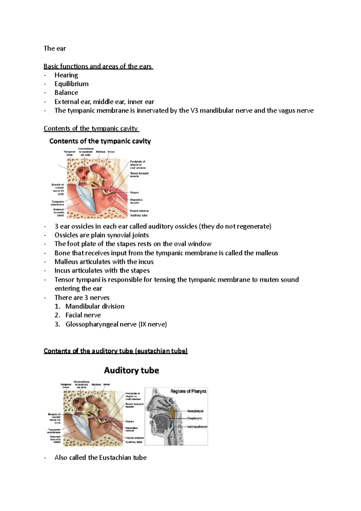 The ear - WAD FEWF EWF - The ear Basic functions and areas of the ears ...