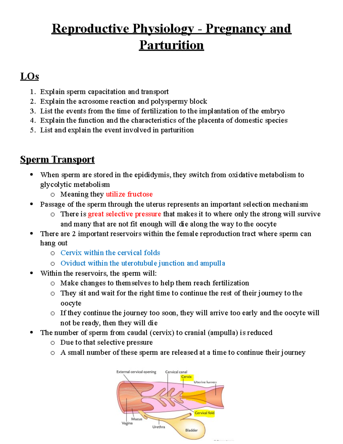 Reproductive Physiology - Pregnancy and Parturition - Reproductive ...