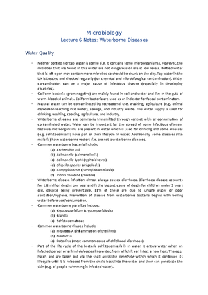 Microbiology - Lecture notes 1-7 - 2021 – UNIVERSITY - SECOND YEAR ...