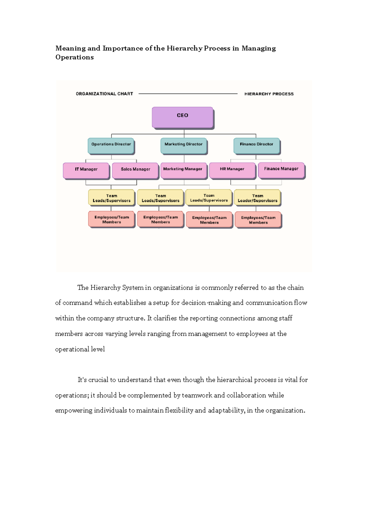 Meaning and Importance of the Hierarchy Process in Managing Operations ...