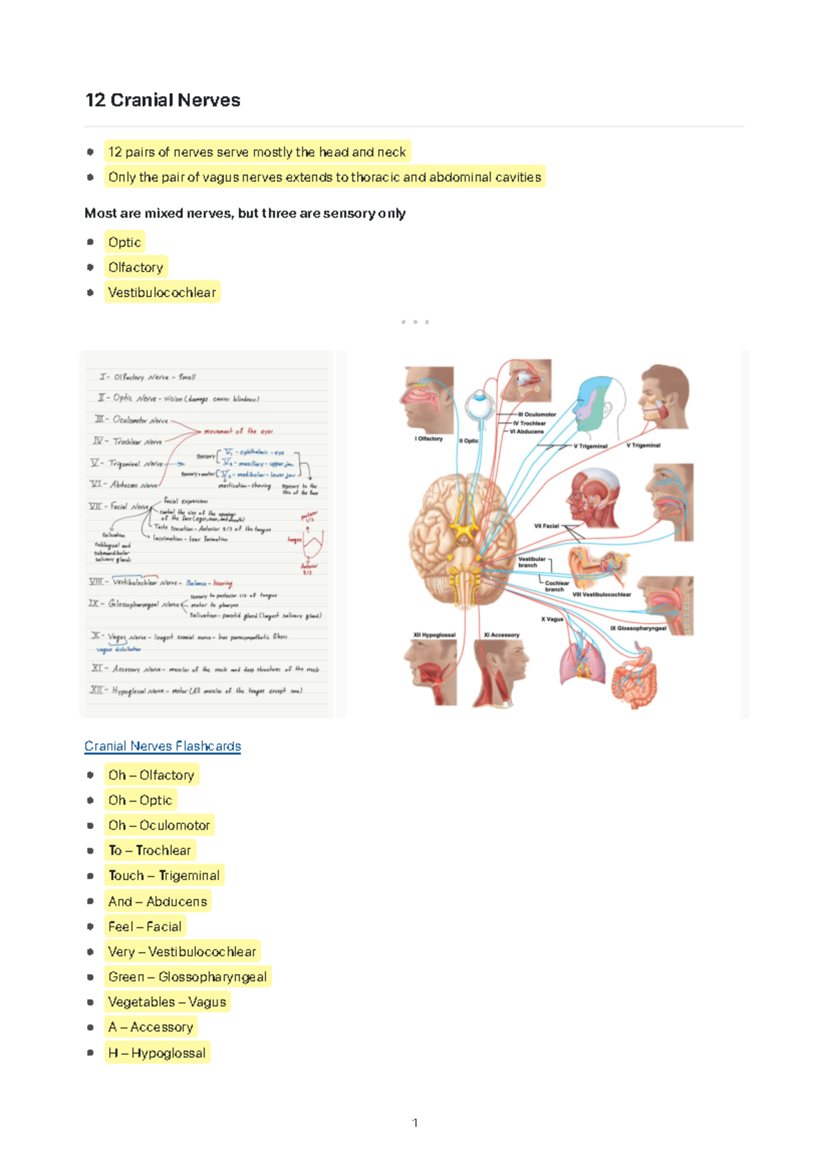 12 Cranial Nerves - 12 Cranial Nerves 12 pairs of nerves serve mostly ...