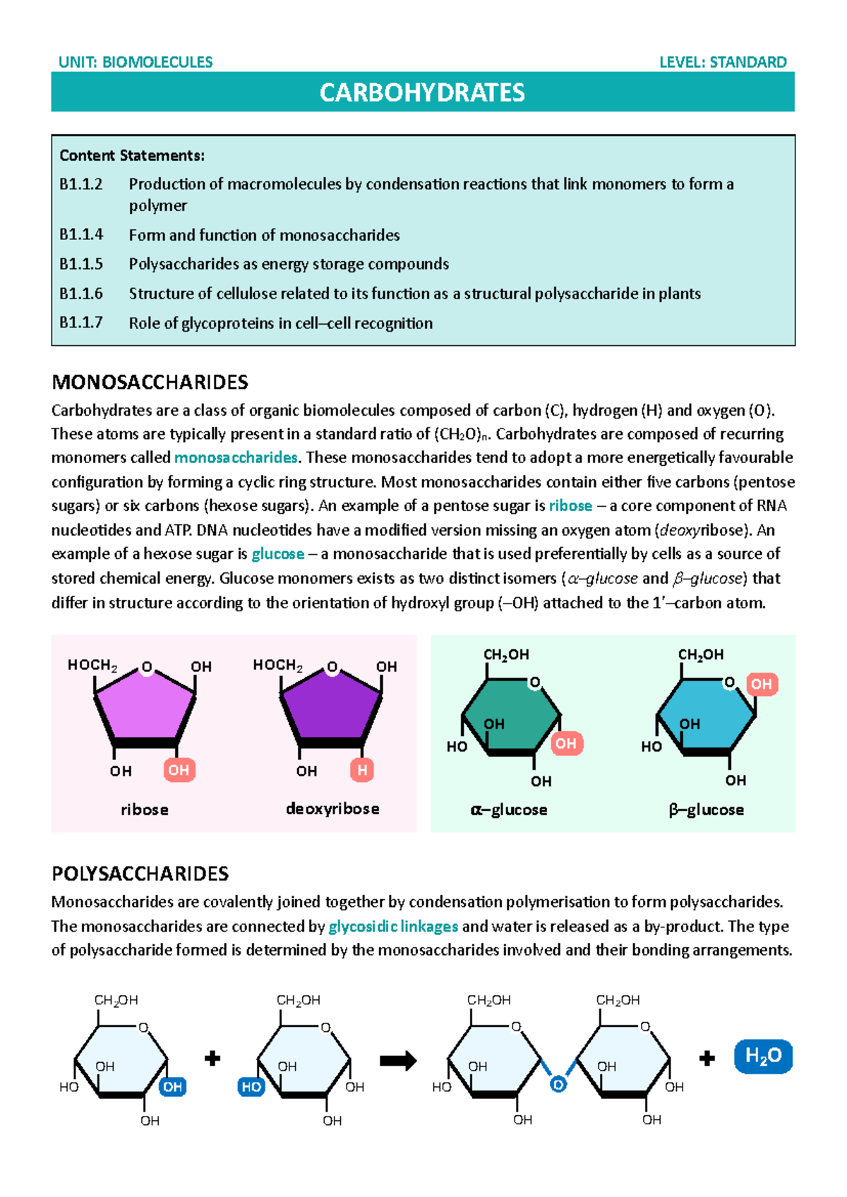 1.4 Carbohydrates - notes - UNIT: BIOMOLECULES LEVEL: STANDARD ...