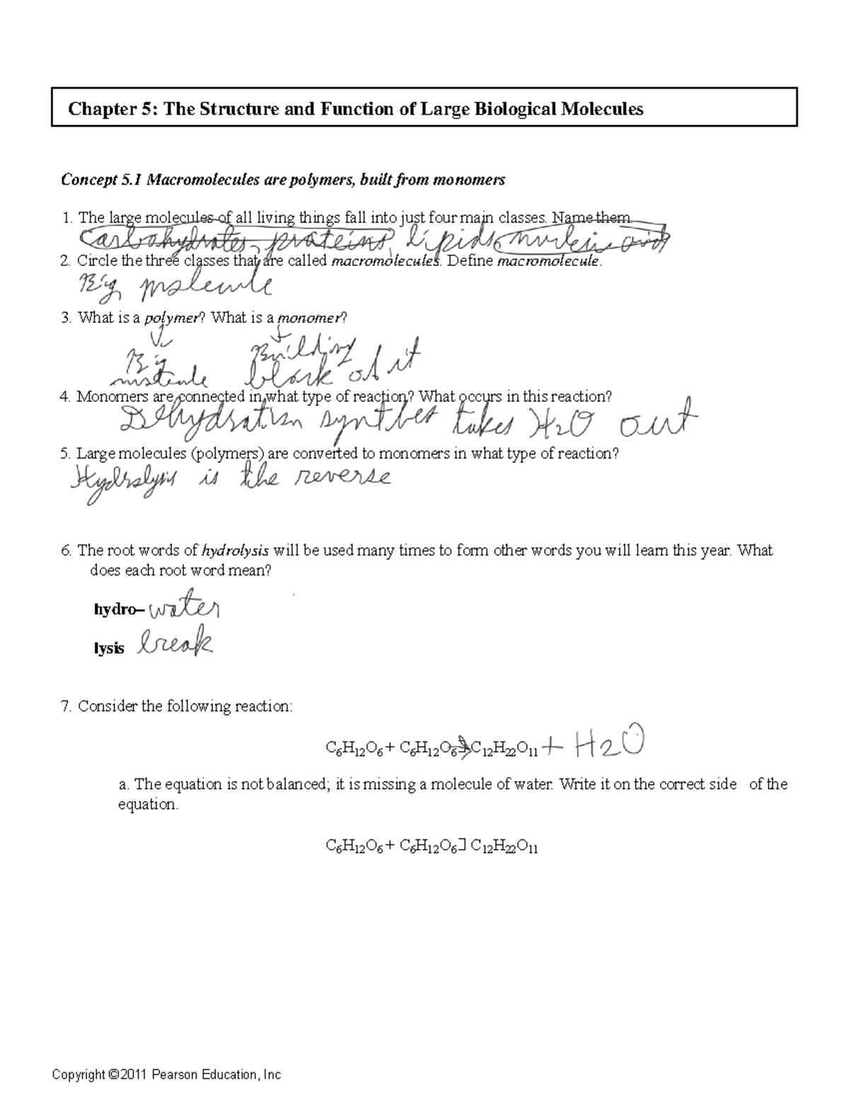 5. CH 5: The Structure & Function of Large Biological Molecules - RG ...