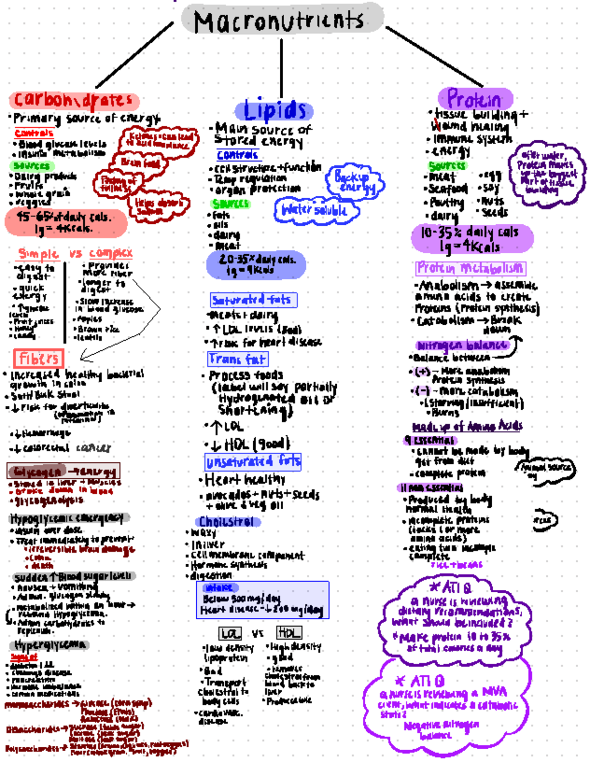 Nutrition Module 7 2 - uploaded for notes - Macronutrients ...