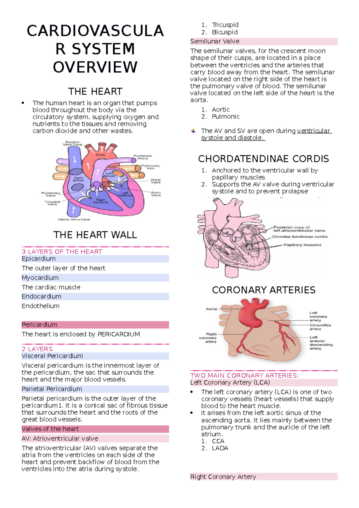 Cardiovascular System Overview - CARDIOVASCULA R SYSTEM OVERVIEW THE ...