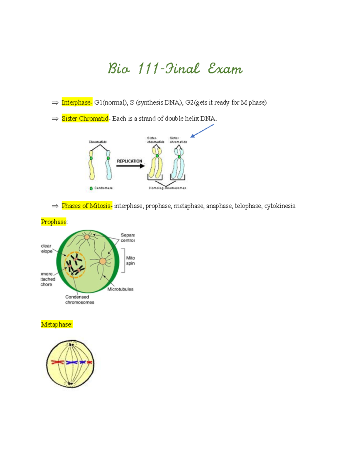 Bio 111 final exam - Bio 111-Final Exam Þ Interphase- G1(normal), S ...