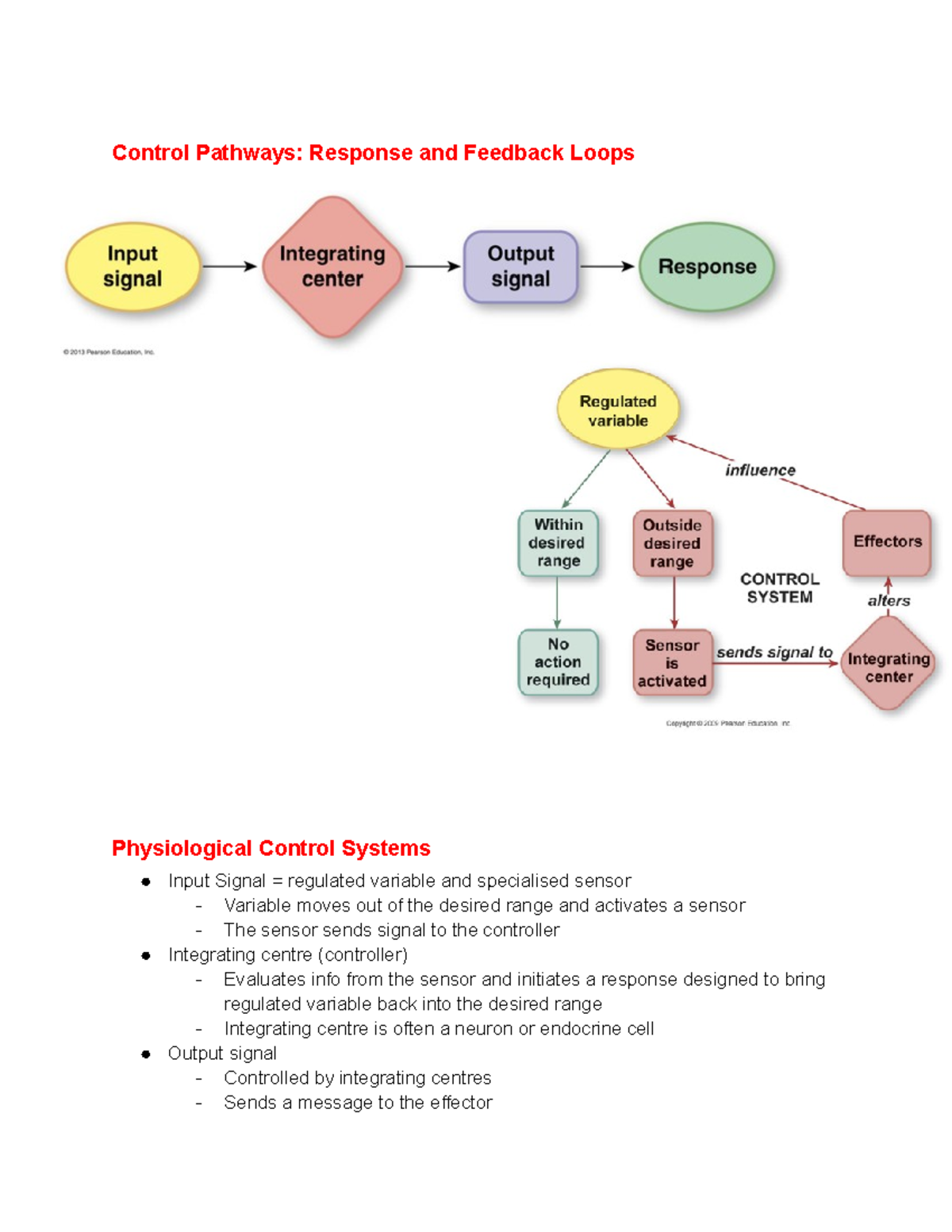 Topic 7.2 Feedback Loops - Control Pathways: Response and Feedback ...