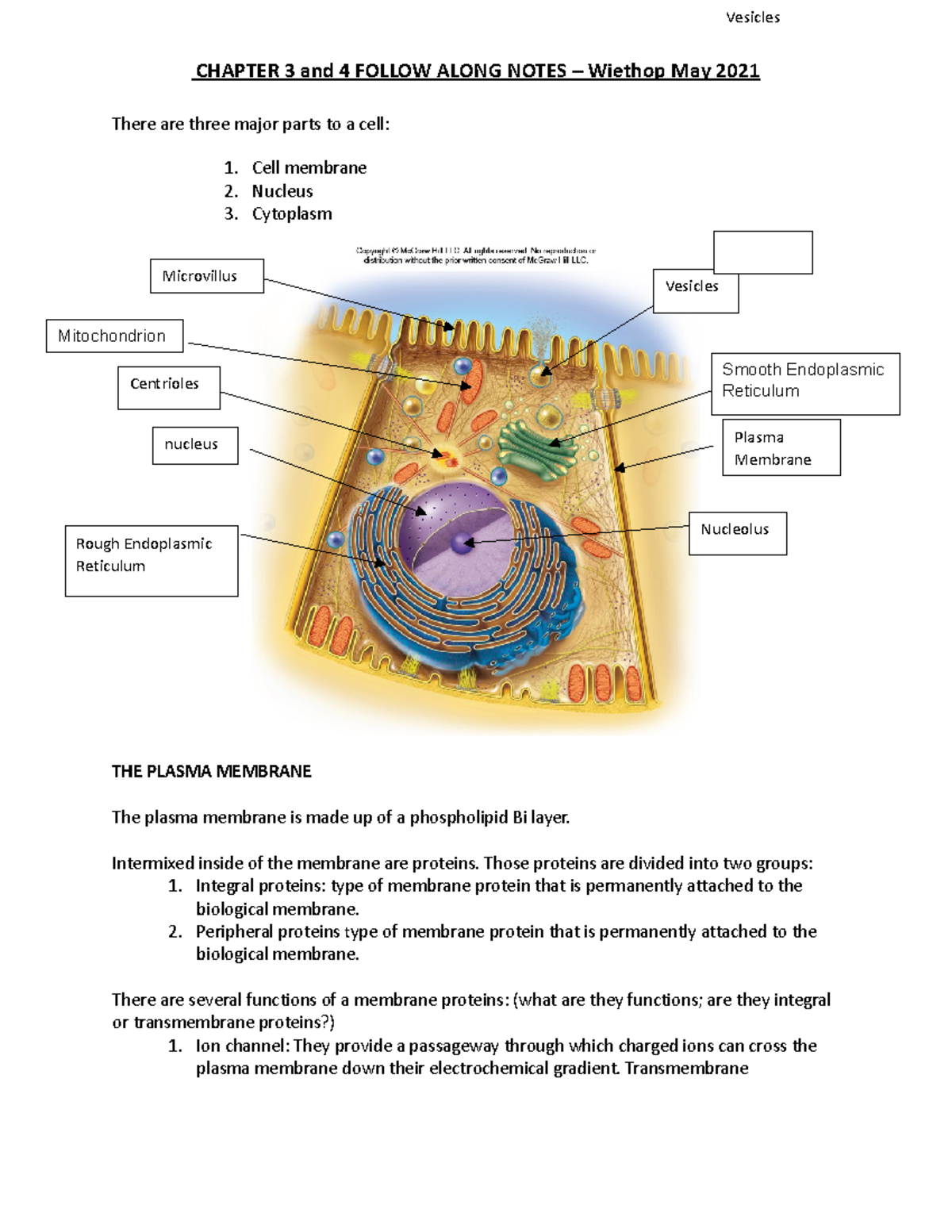 BIOS251 - Chapter 3 and 4 FILL - CHAPTER 3 and 4 FOLLOW ALONG NOTES ...
