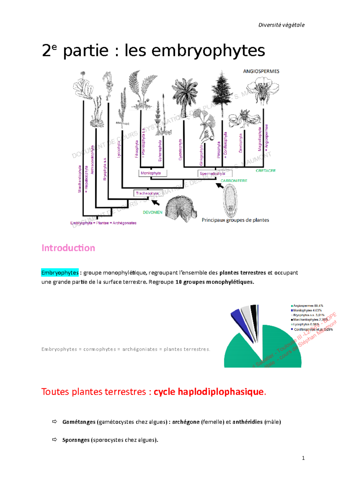 Les embryophytes Part1 complète et illustrée - 2 e partie : les ...