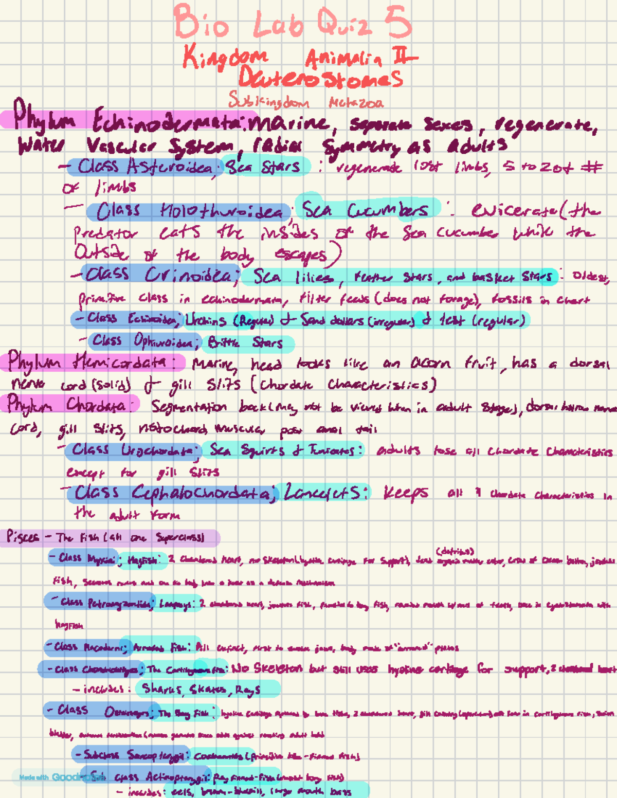 Bio Lab 2 - Lab Notes - Bio Lab Quiz 5 Kingdom Animalia Deuterostomes ...