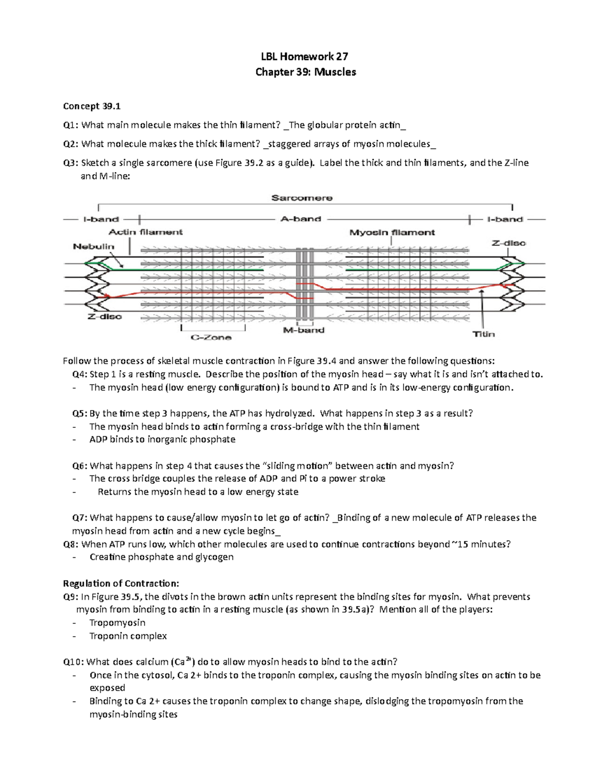 LBL27 - Muscles - Professor Micheal Jorgensen - LBL Homework 27 Chapter ...