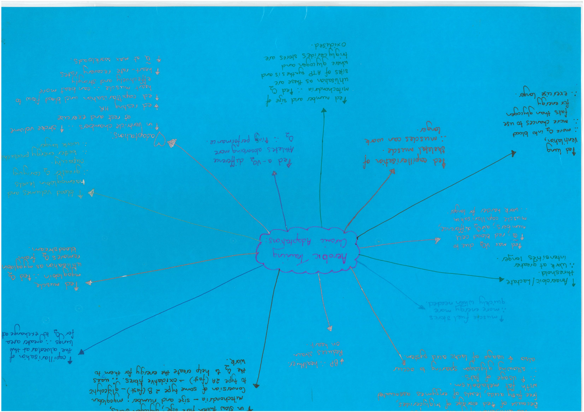 Aerobic mind map of chronic adaptations - EDU3THP - Studocu