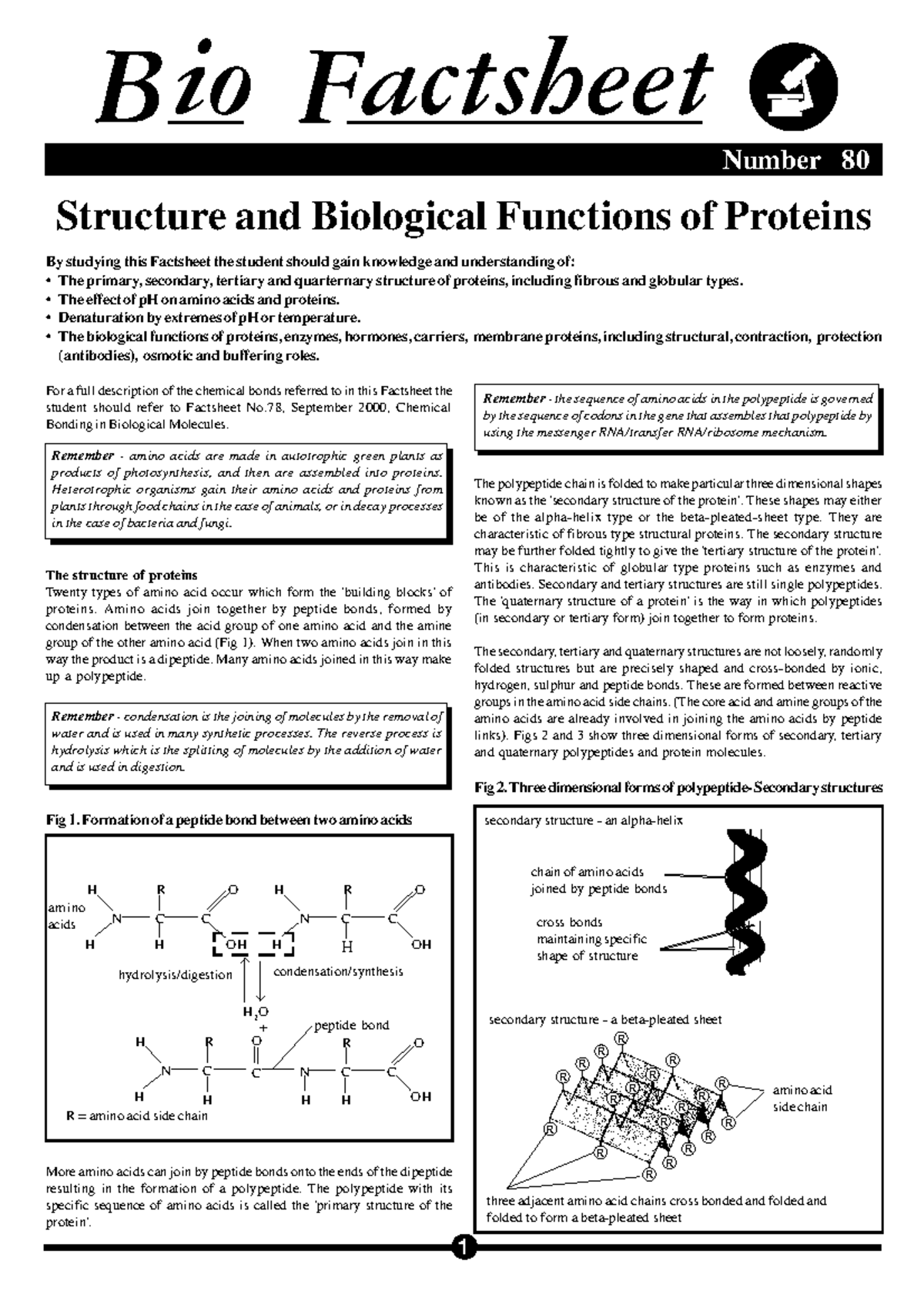 Bio Protein FS - Structure and Biological Functions of Proteins Bio ...