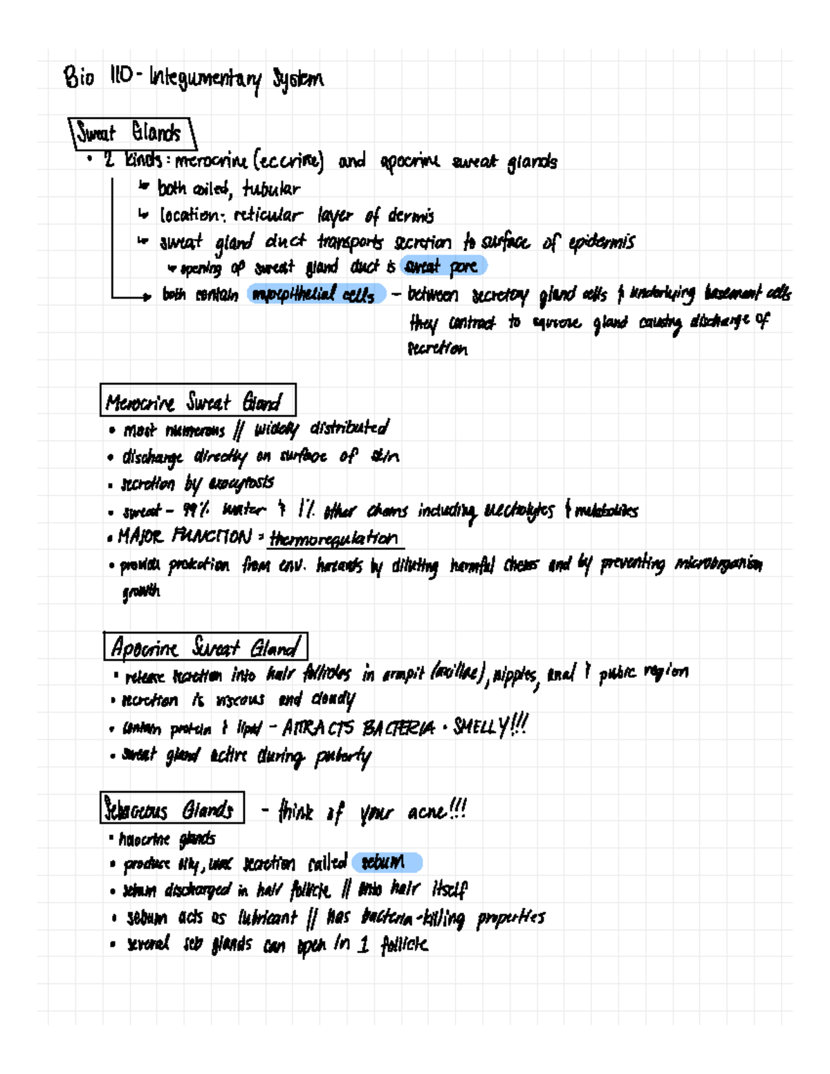 Biol 110 Review Integ and Skeletal - Bio 110 - Integumentary System ...