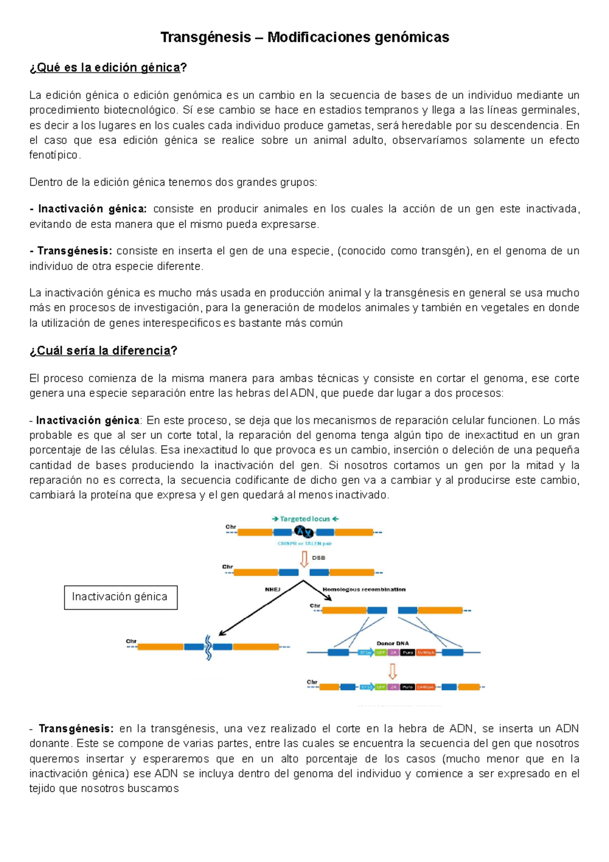 Transgénesis - Transgénesis – Modificaciones genómicas ¿Qué es la ...