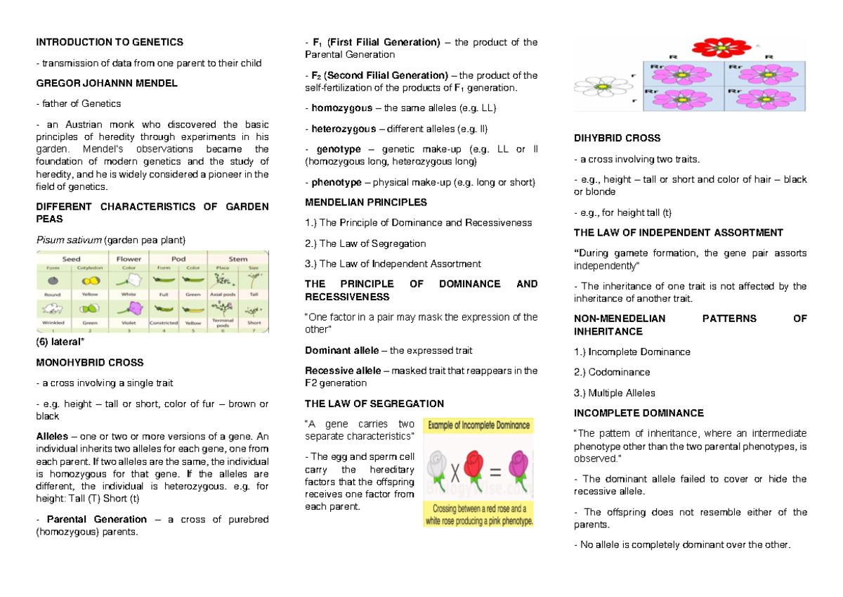Biology Introduction to Genetics Notes - INTRODUCTION TO GENETICS ...