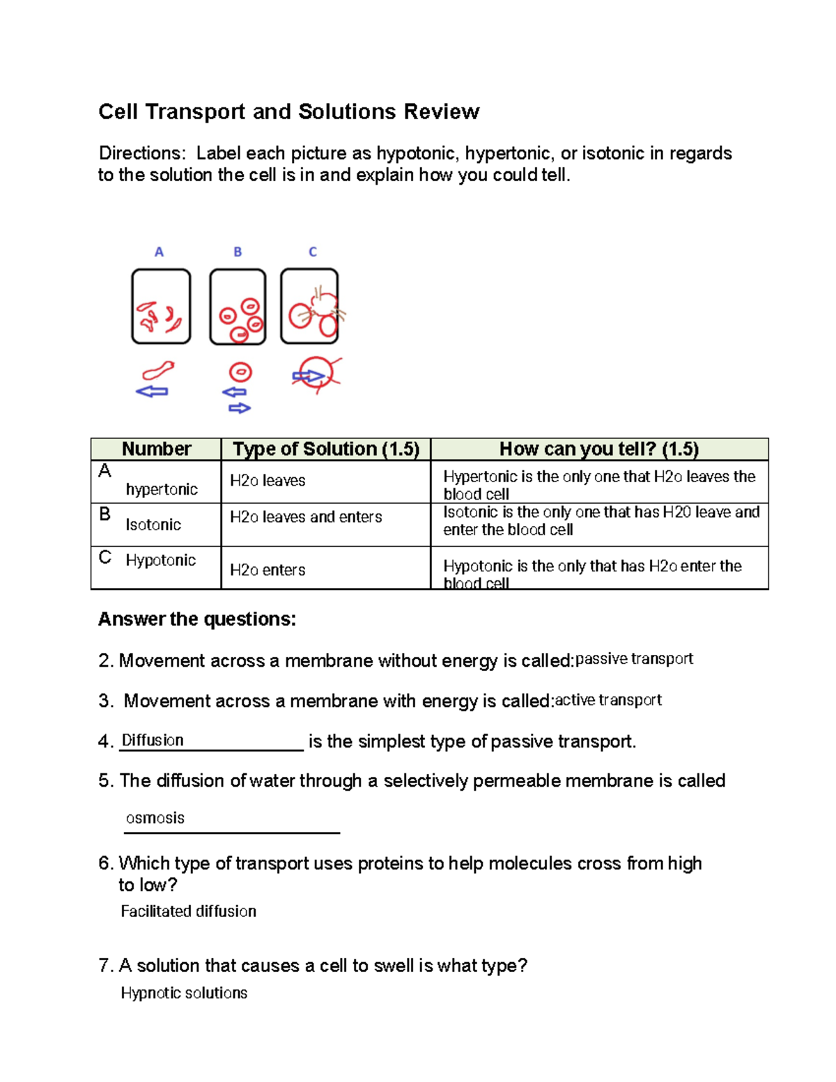 Bio Assignment 1.3 Cell Transport Solutions - Cell Transport and ...