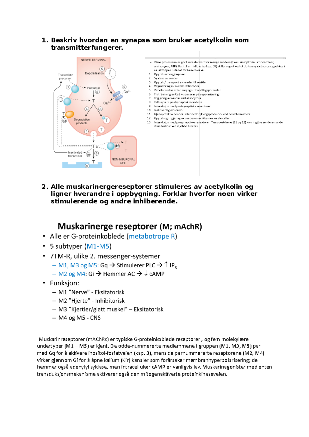 Kollokvie 9 - Nootes - 1. Beskriv hvordan en synapse som bruker ...