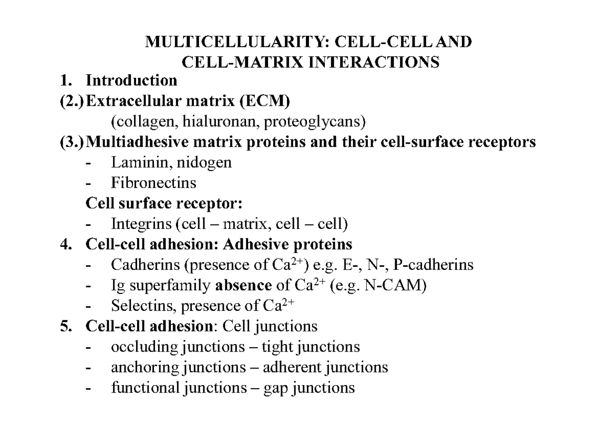 7 Cell to cell contacts - MULTICELLULARITY: CELL-CELL AND CELL-MATRIX ...