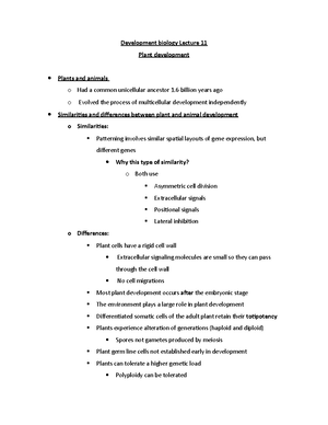 Developmental biology lecture 6 - Studocu