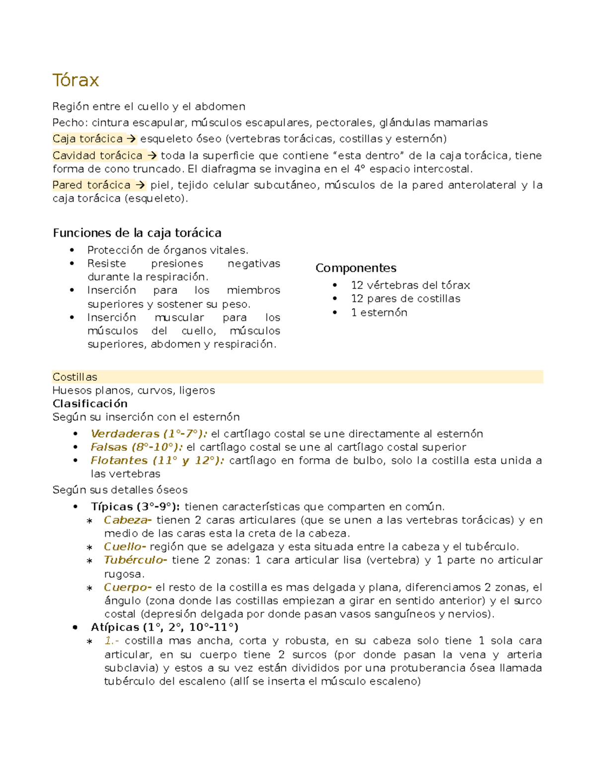 Apunte Torax - Tórax Región entre el cuello y el abdomen Pecho: cintura ...