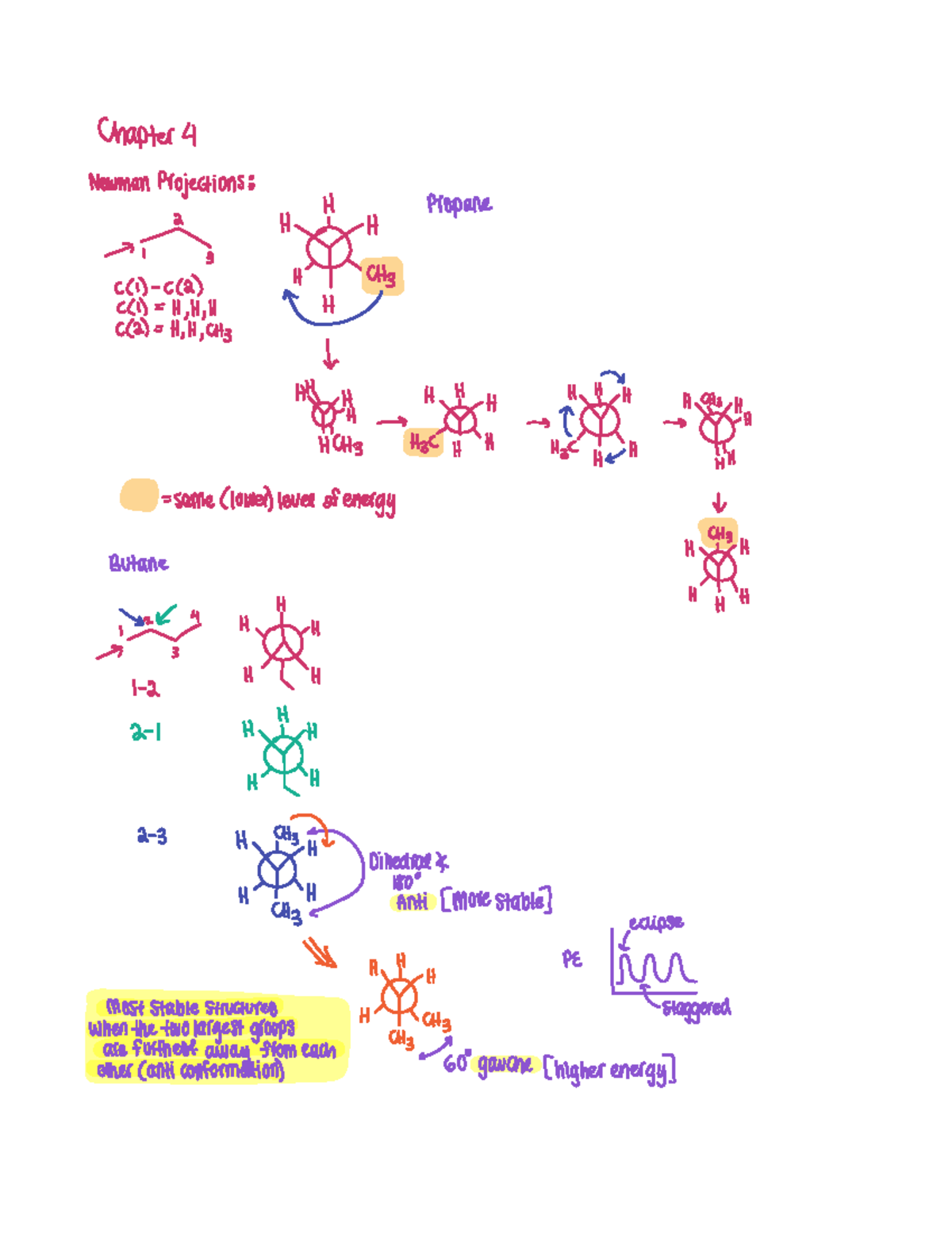 Newman Projections, Chair Conformations (Rings), and Stereoisomers ...