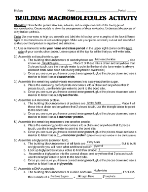 3.01 cell division Lab Report Template - 3 Cell Division Virtual Lab ...