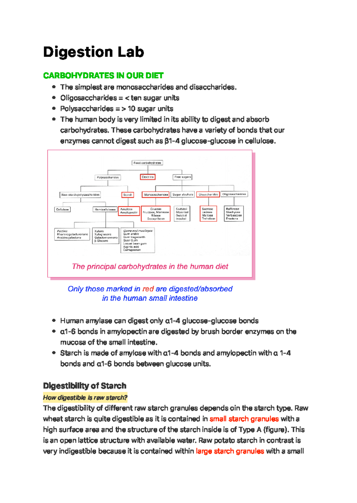 Digestion Lab - D i g e s t i o n L a b CARBOHYDRATES IN OUR DIET ...