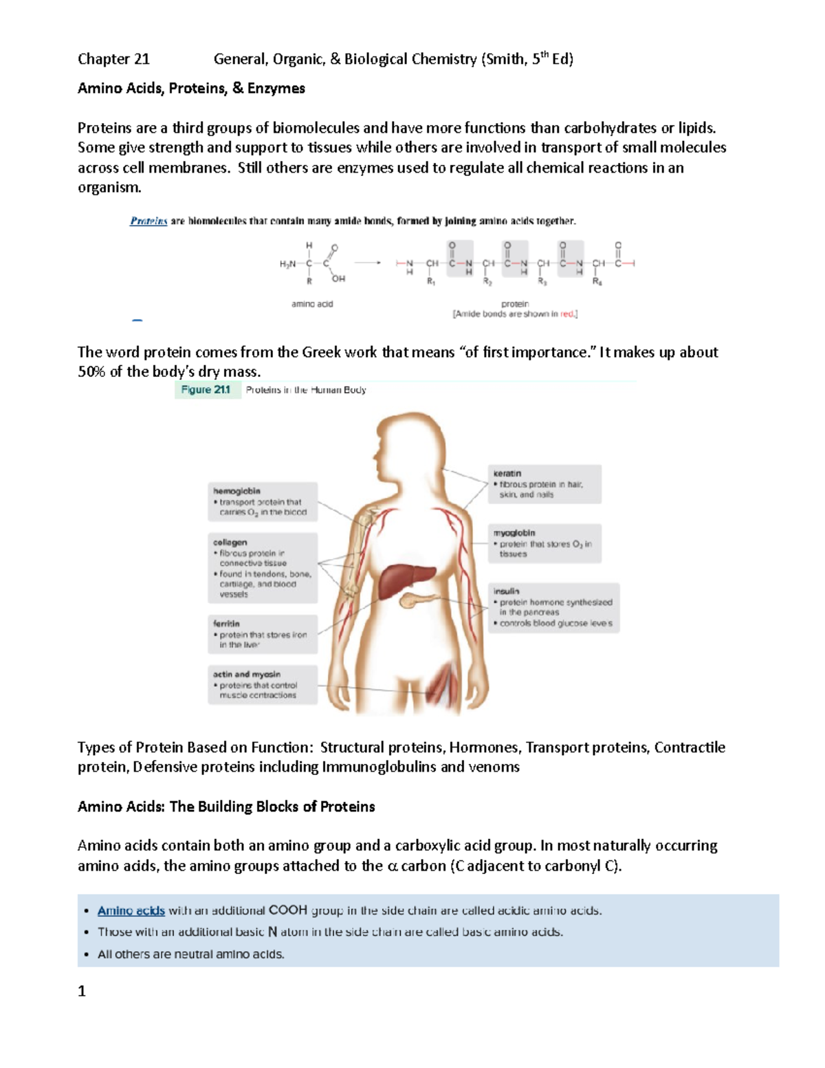 Smith notes Chapter 21 - Amino Acids, Proteins, & Enzymes Proteins are ...