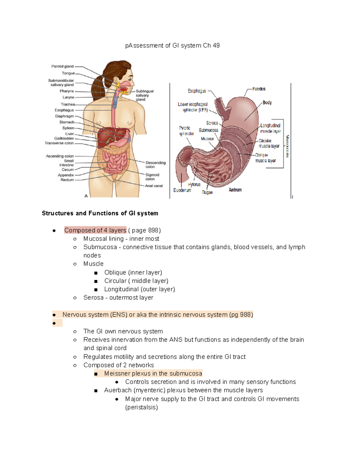 Assessemnt of GI s ystem - pAssessment of GI system Ch 49 Structures ...