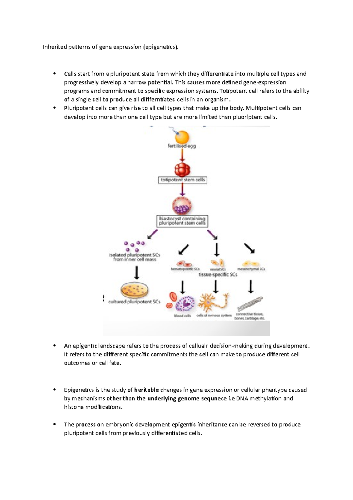 Introduction to epigenetics - Inherited patterns of gene expression ...