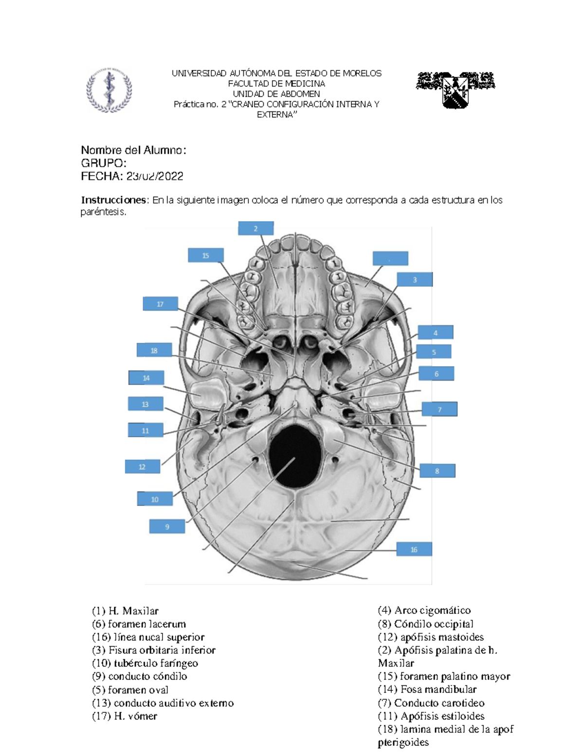 Práctica No 2 Craneo Práctica Anfiteatro Universidad Autónoma Del