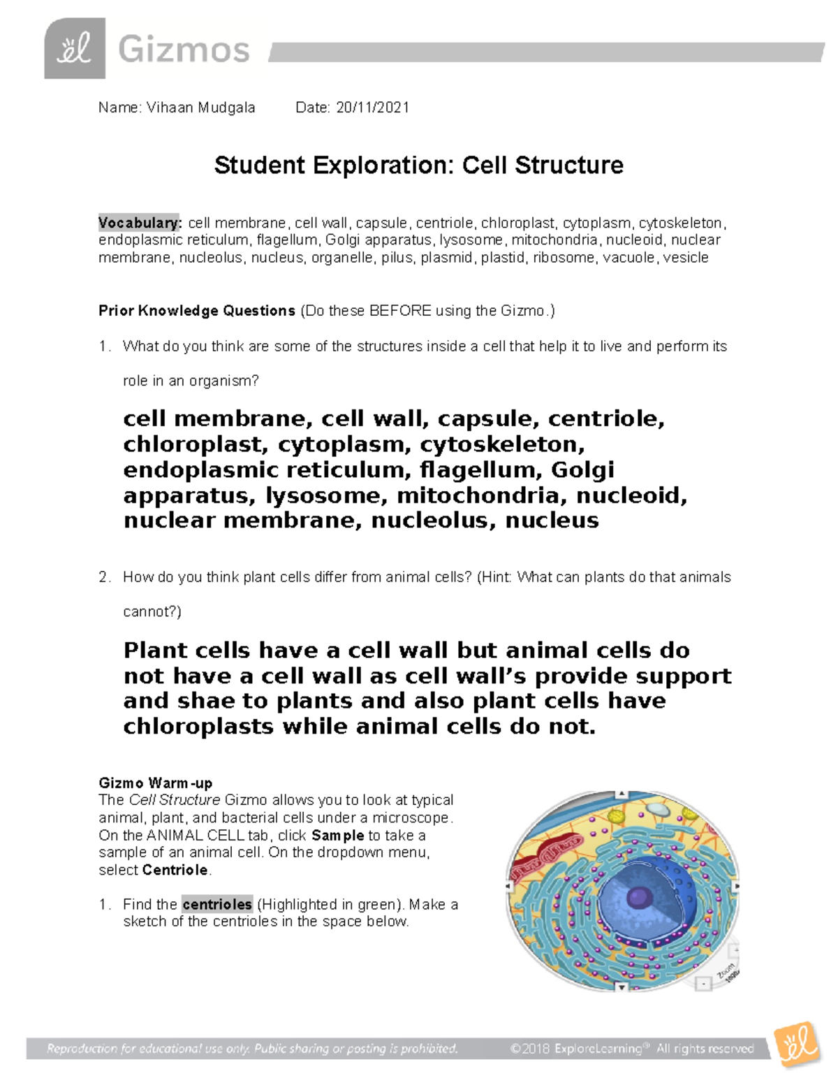 Cell Structure SE GIZMO EXPLORATION SHEET Name Vihaan Mudgala Date