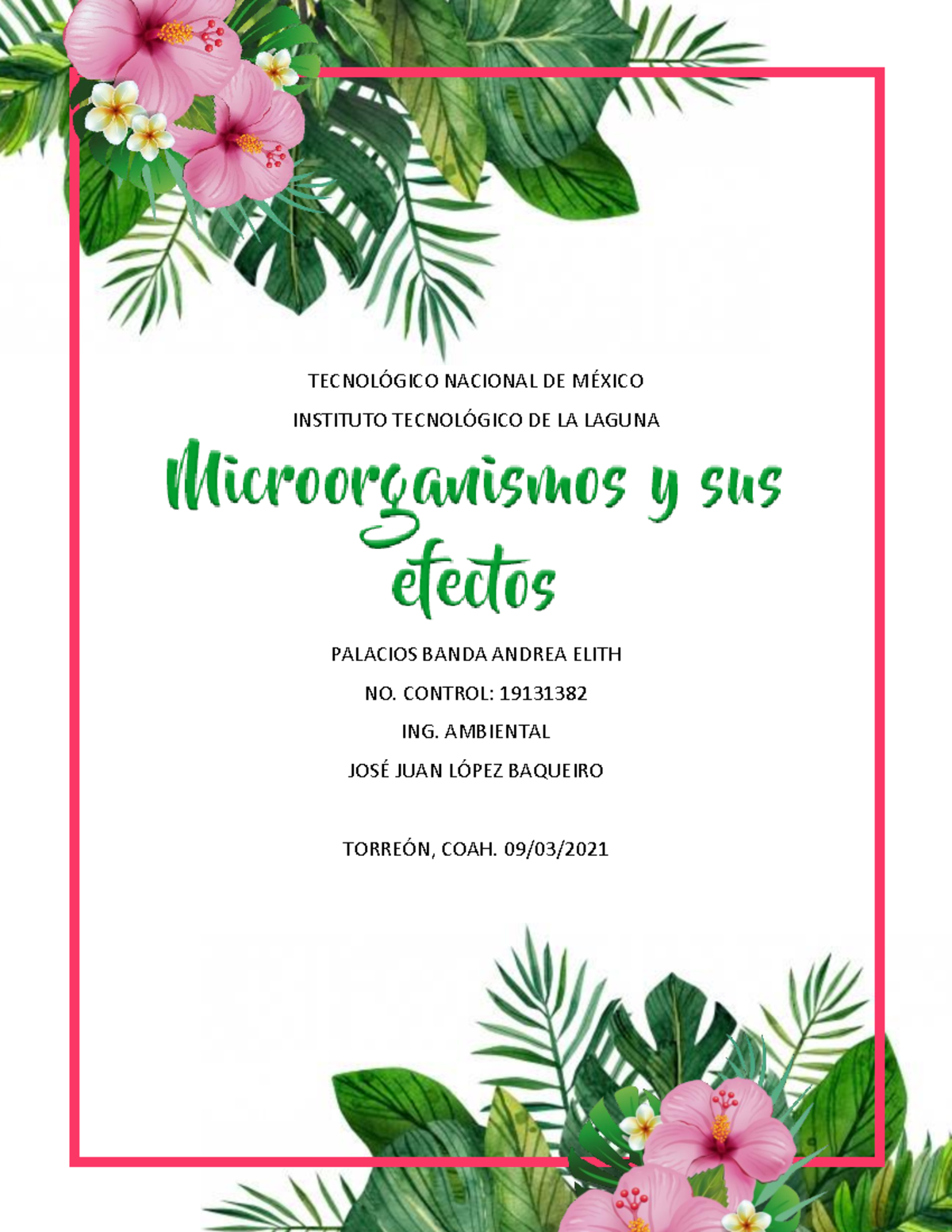 A55B Microorganismos Andrea Palacios 19131382 - TECNOL”GICO NACIONAL DE ...