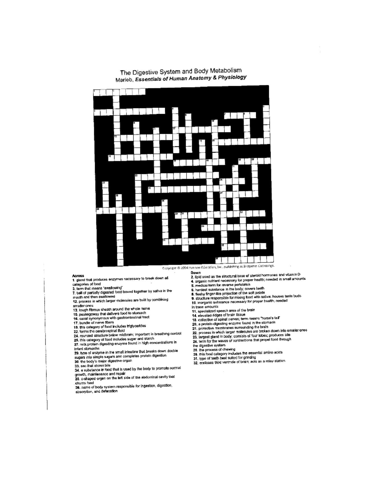 Digestive Body Metabolism Puzzle Bio 45 - The Digestive System and Body ...