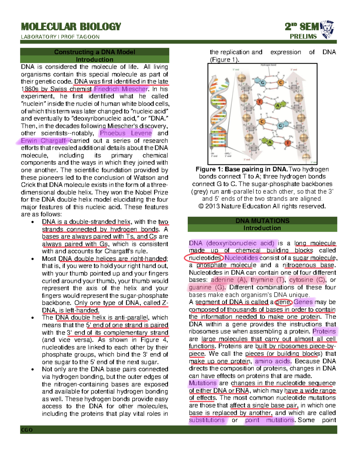MOL BIO LAB Lesson 3-5 - Summary Medical Microbiology - MOLECULAR ...